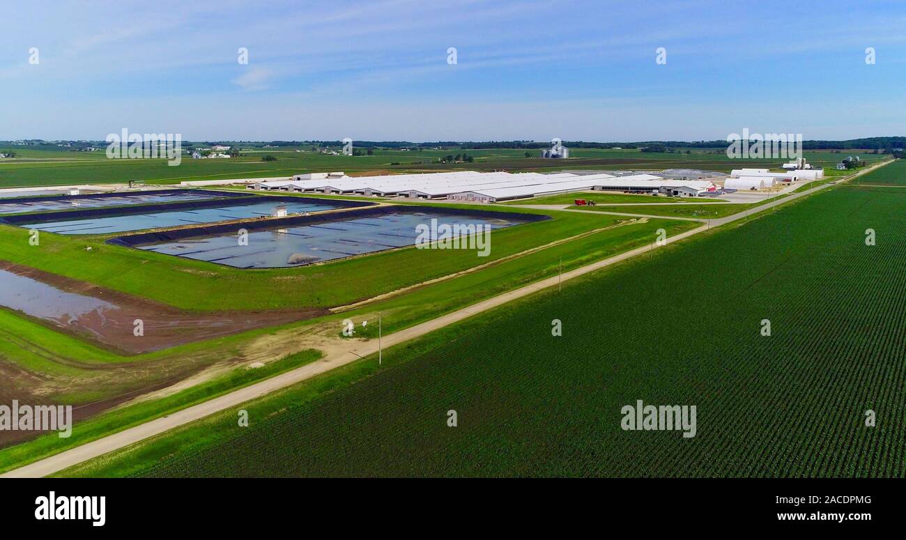 Aerial view of Confined or Concentrated Animal Feeding Operation (CAFO ...