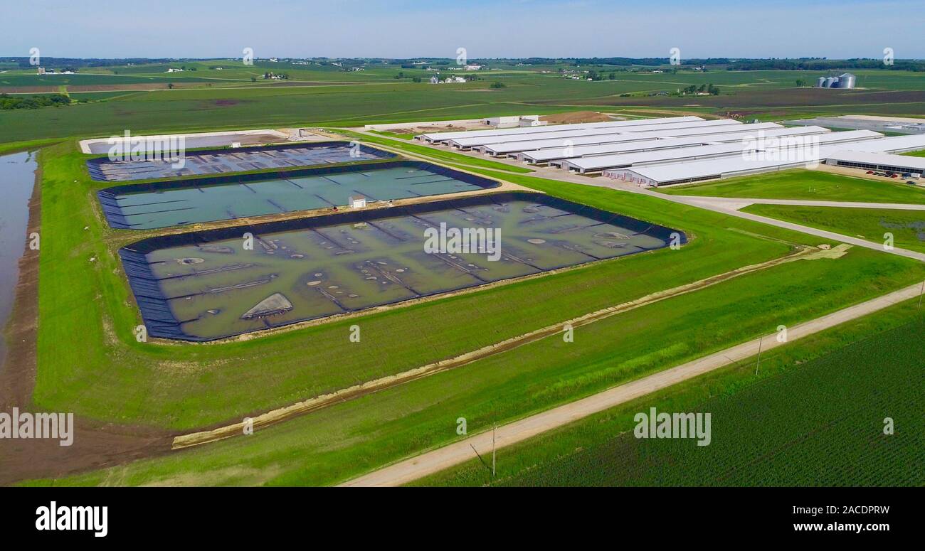 Mega dairy farm hi-res stock photography and images - Alamy