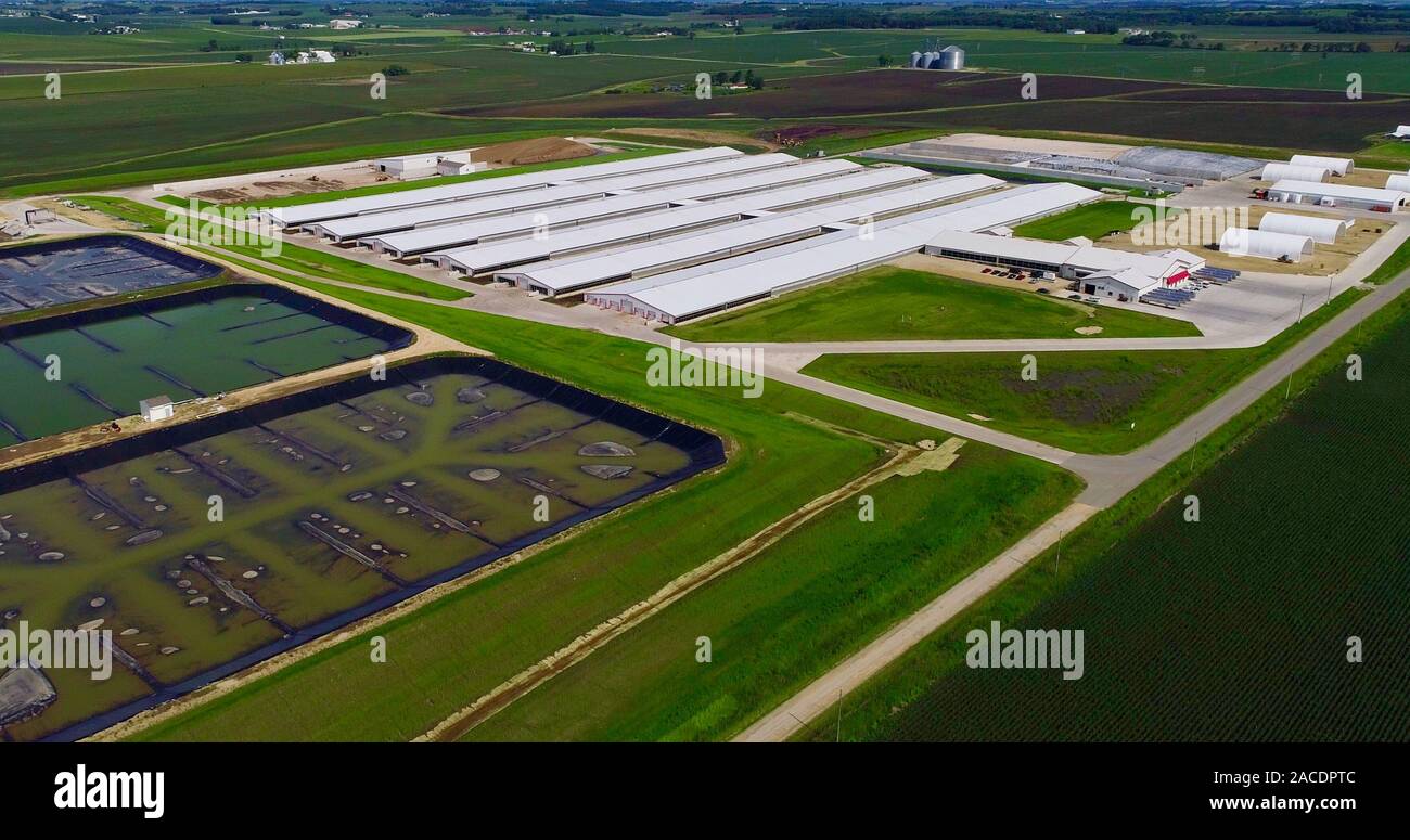 Factory farm animals aerial hi-res stock photography and images - Alamy