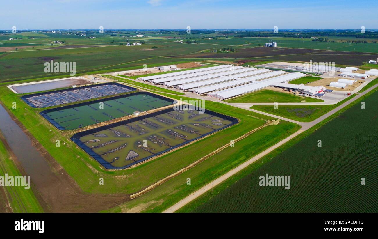 Aerial view of Confined or Concentrated Animal Feeding Operation (CAFO ...