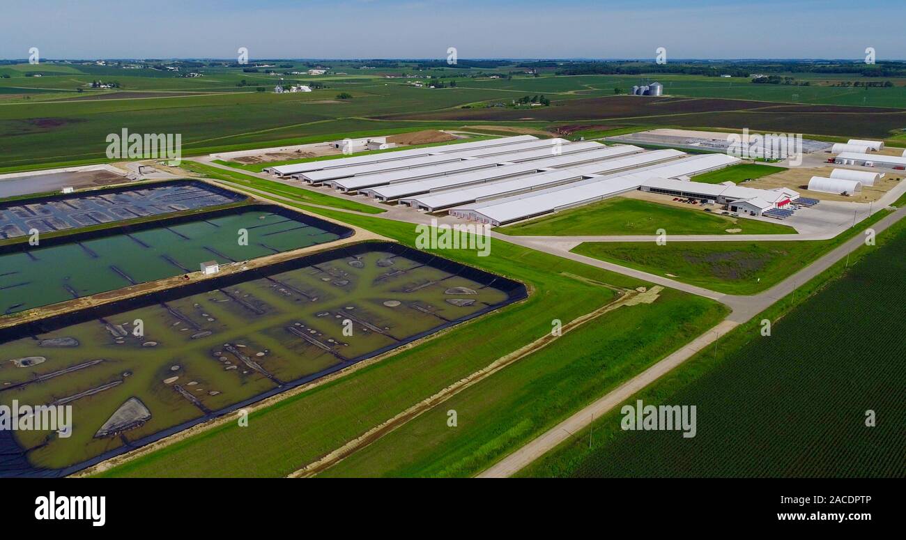 Aerial view of Confined or Concentrated Animal Feeding Operation (CAFO ...