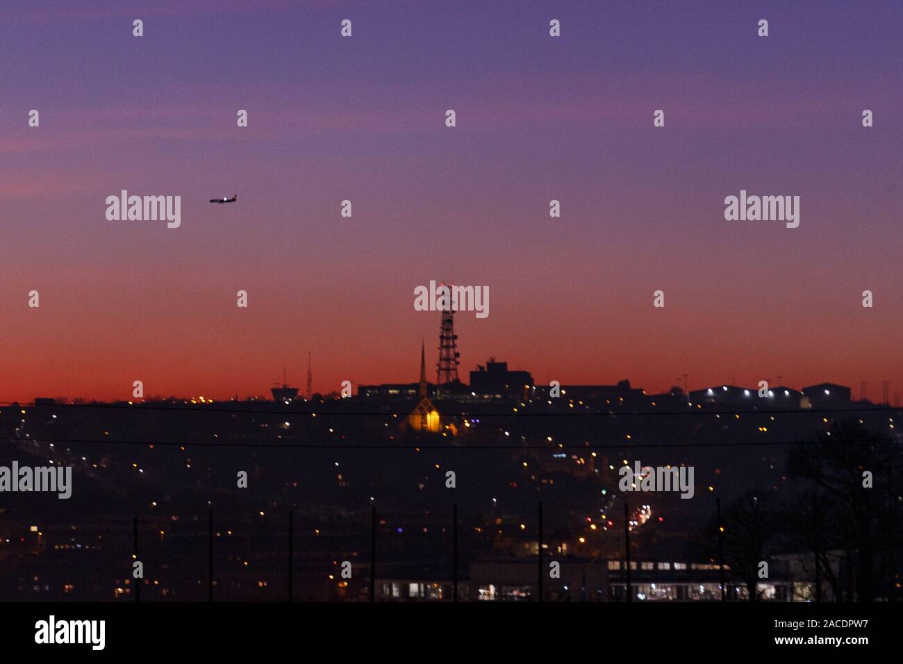 Farrenree hi-res stock photography and images - Alamy