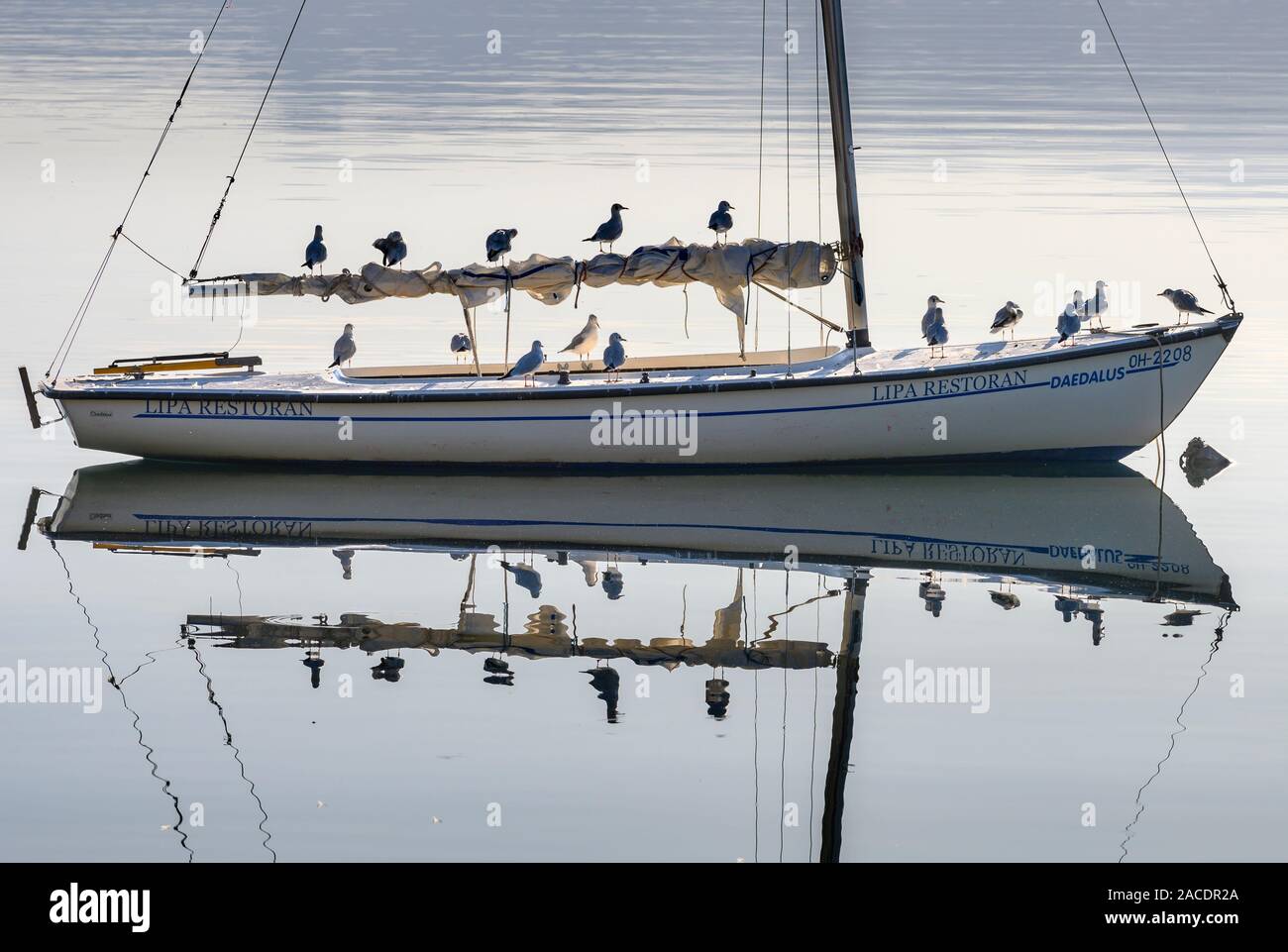 A sailing boat on Lake Ohrid at Peshtani in North Macedonia, Europe ...