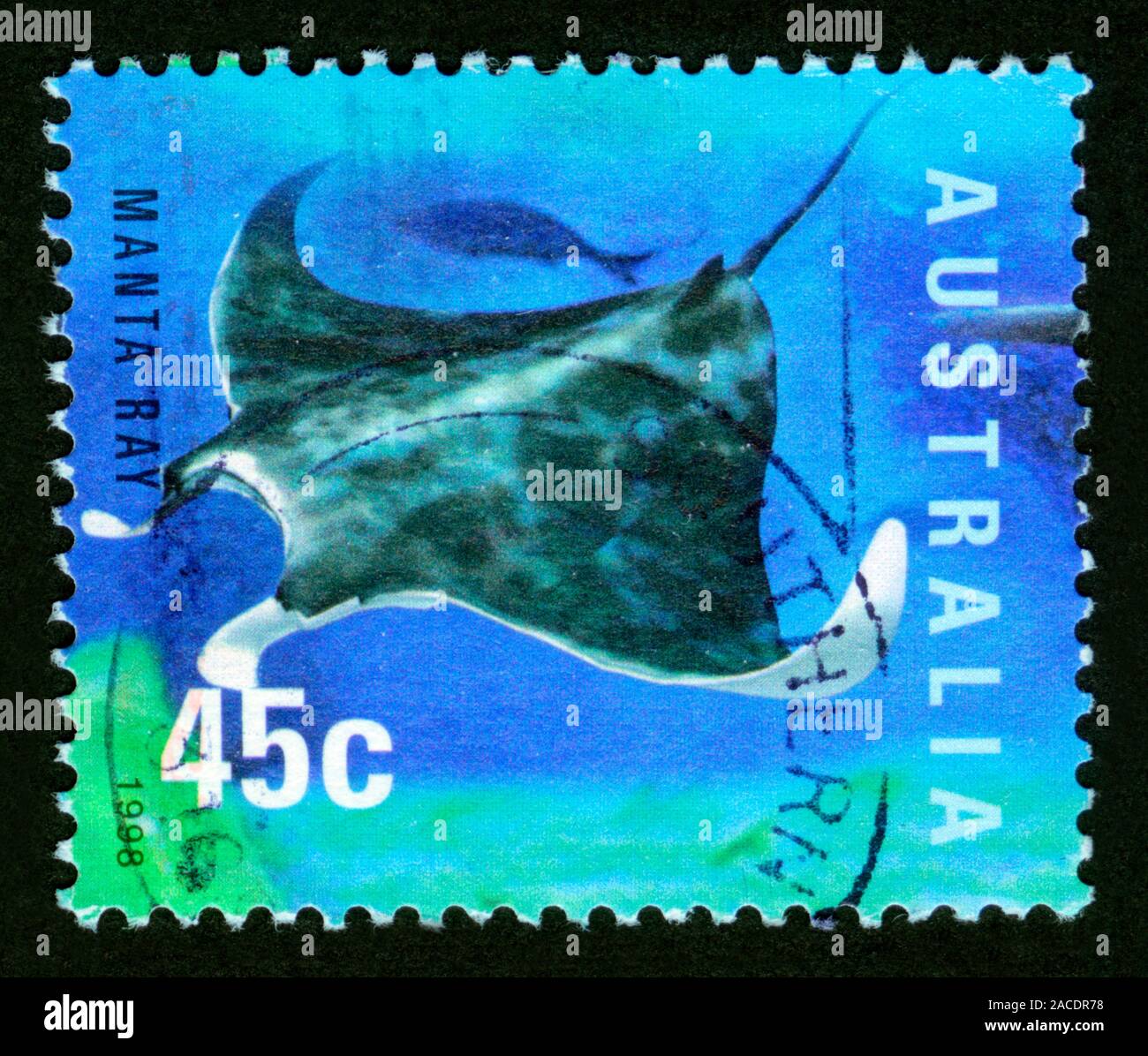 Manta ray australia hi-res stock photography and images - Alamy