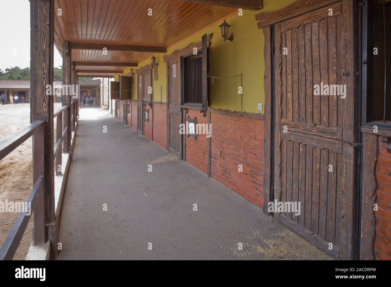 A large arena with sand for horses . Elite Horse and Polo Club ...