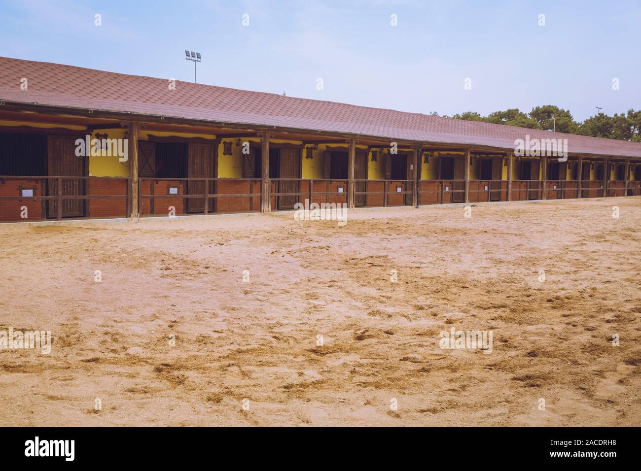 A large arena with sand for horses . Elite Horse and Polo Club ...