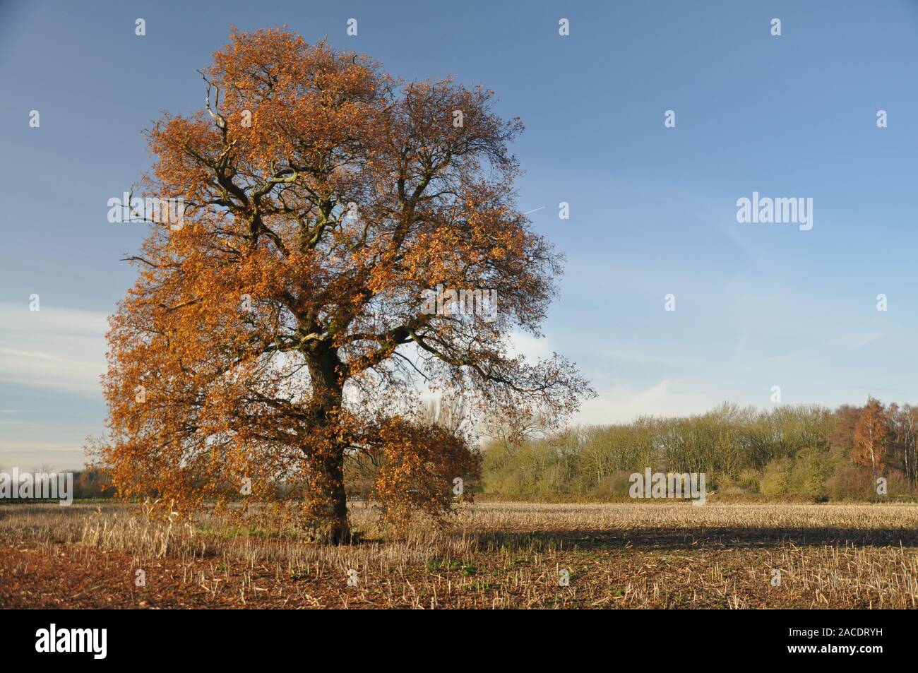 Grantham autumn lincolnshire hi-res stock photography and images - Alamy