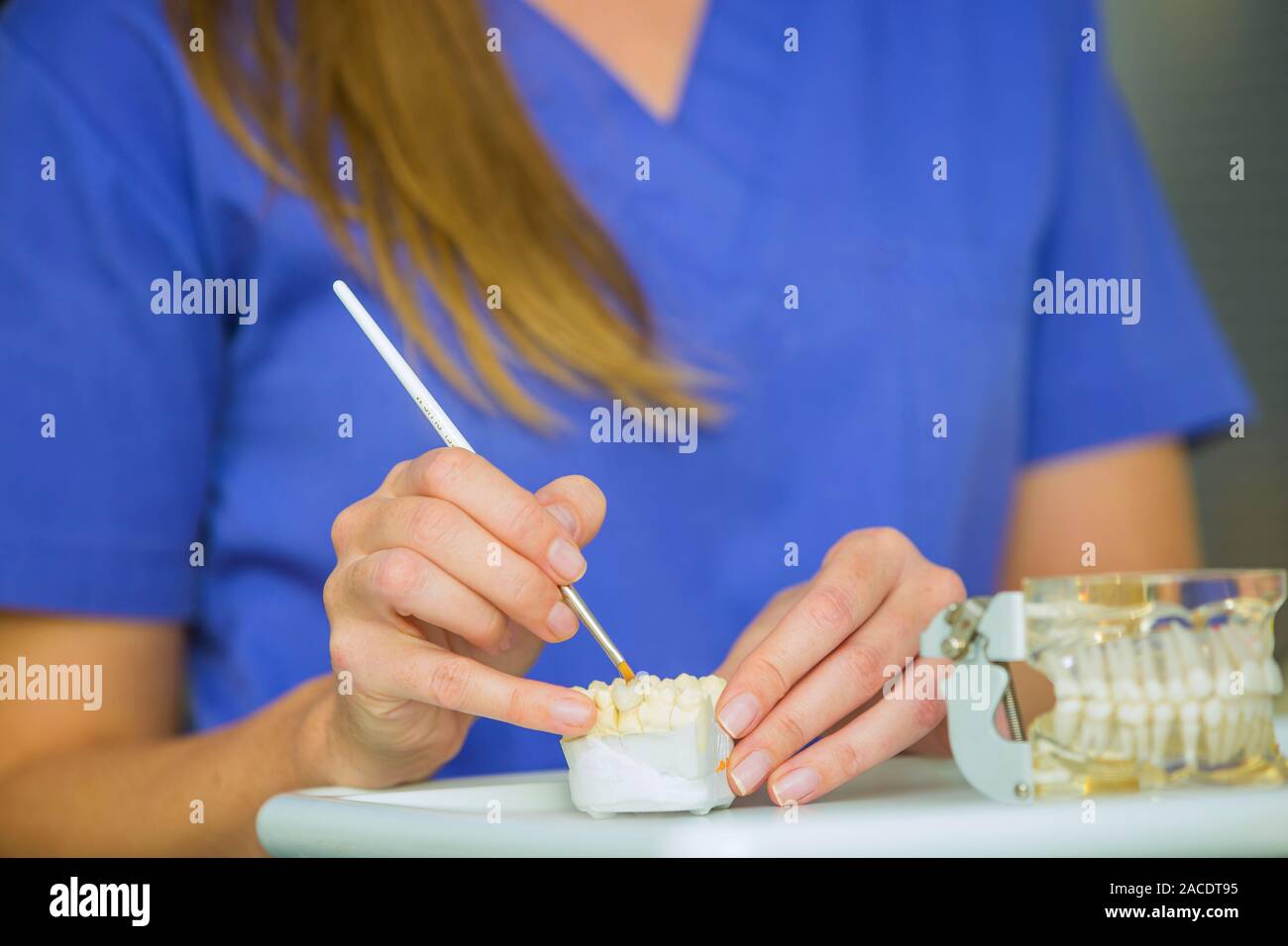 Dentist laboratory work hi-res stock photography and images - Alamy
