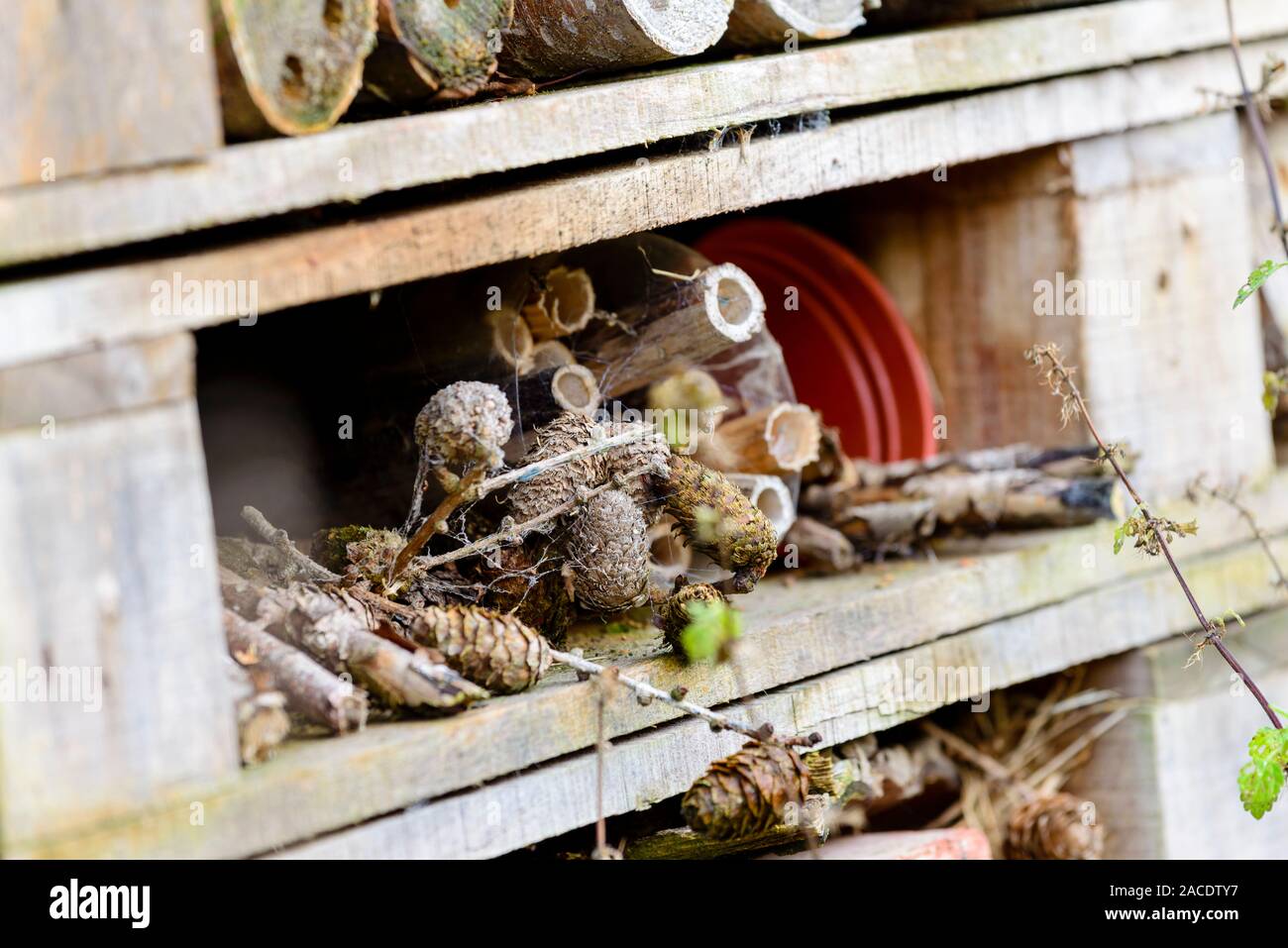 A bug hotel made out of wooden pallets and other wooden materials to ...