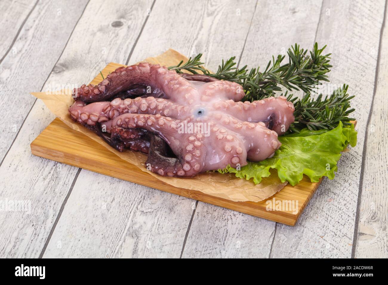 Raw octopus ready for cooking with rosemary Stock Photo - Alamy