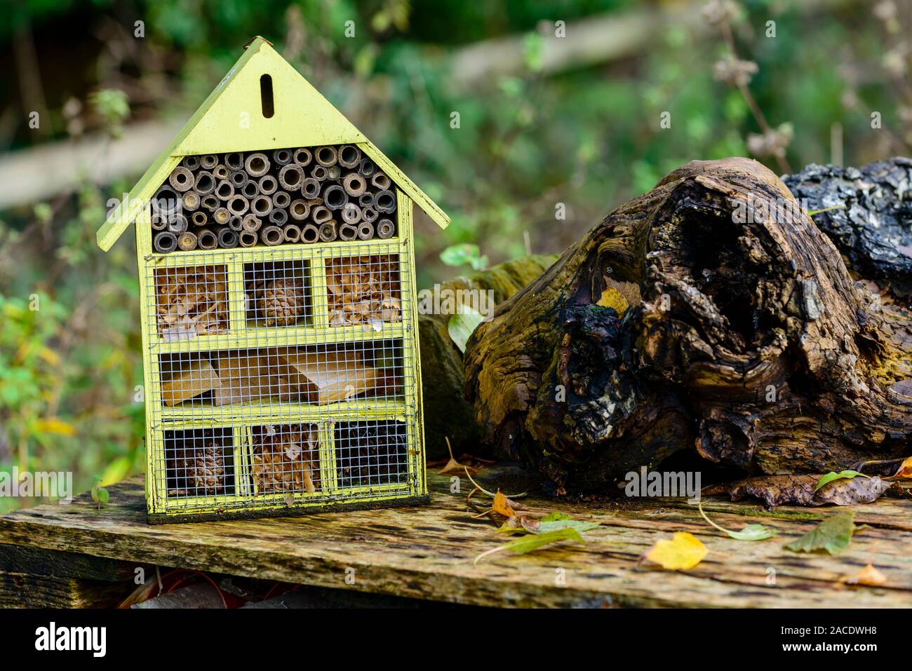 A bug hotel made out of wooden pallets and other wooden materials to ...