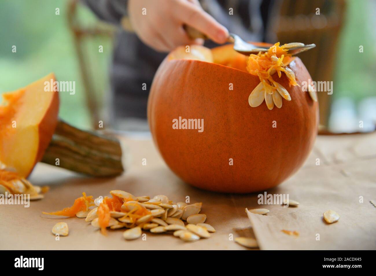 Child pumpkin seed hi-res stock photography and images - Alamy