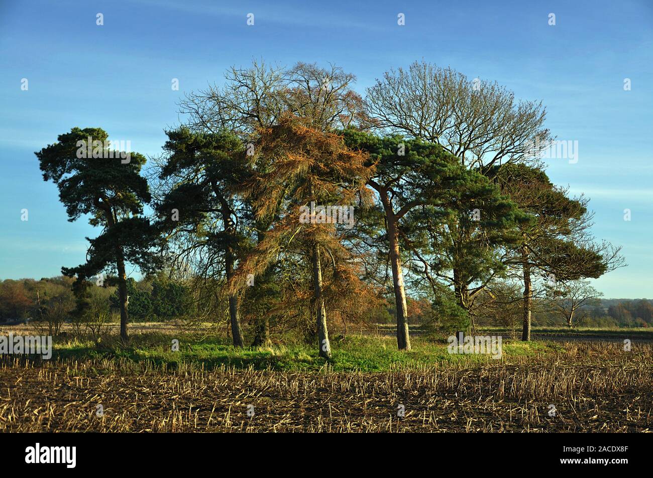 Grantham skyline hi-res stock photography and images - Alamy