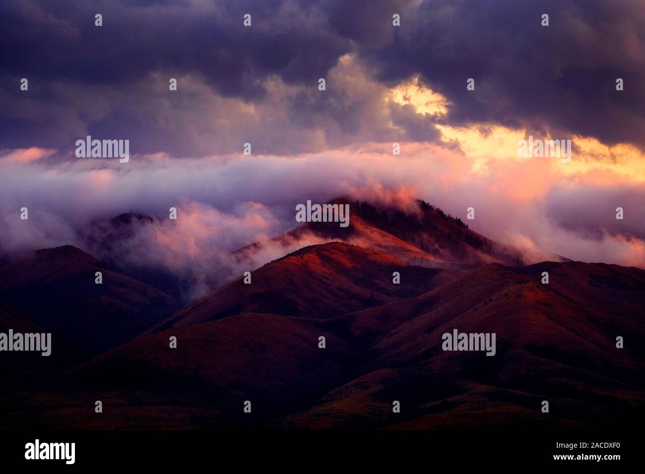Mountains and forest trees in the wilderness with clouds and sunset ...