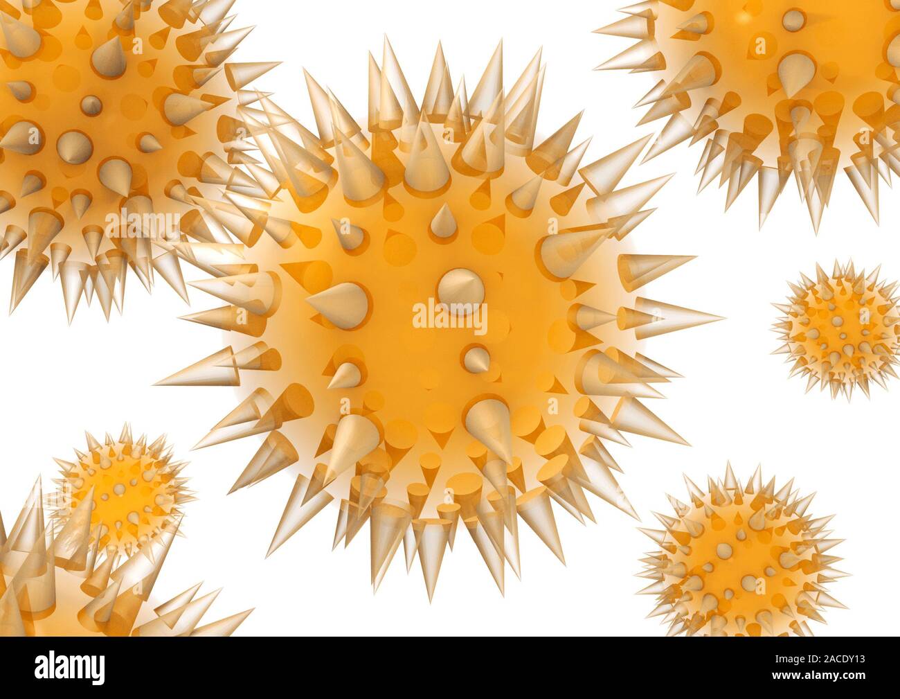 Pollen grains, computer artwork. The characteristic surface of pollen ...