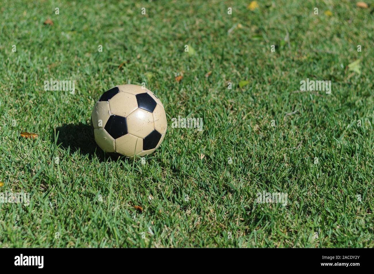 classic football ball or soccer ball on a green field Stock Photo - Alamy
