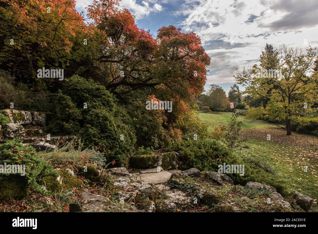 Colour in nature hi-res stock photography and images - Alamy