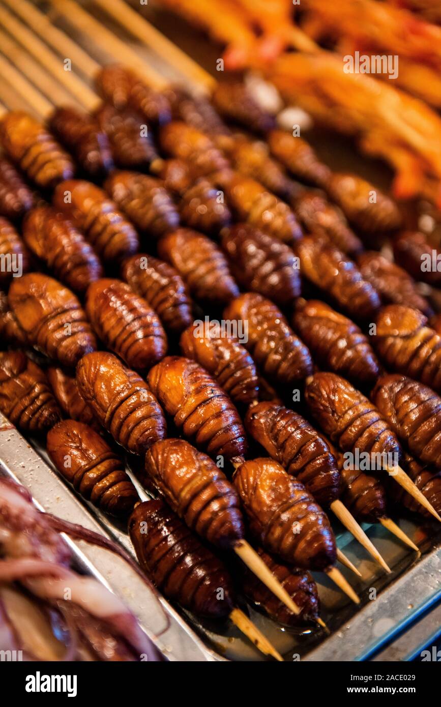 Grill and fried silkworm pupae in a food market in Beijing, China Stock ...