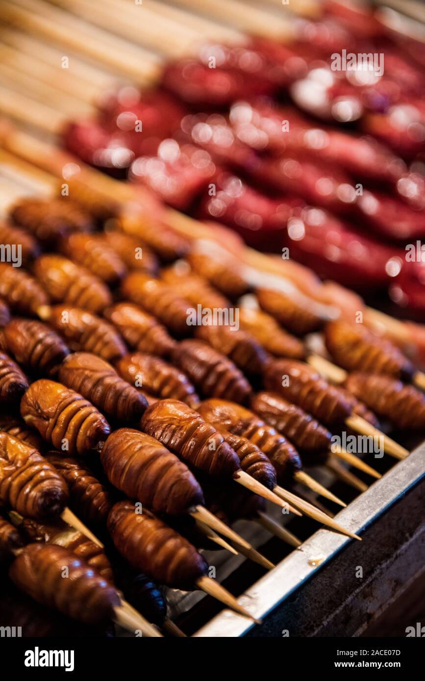 Grill and fried silkworm pupae in a food market in Beijing, China Stock ...