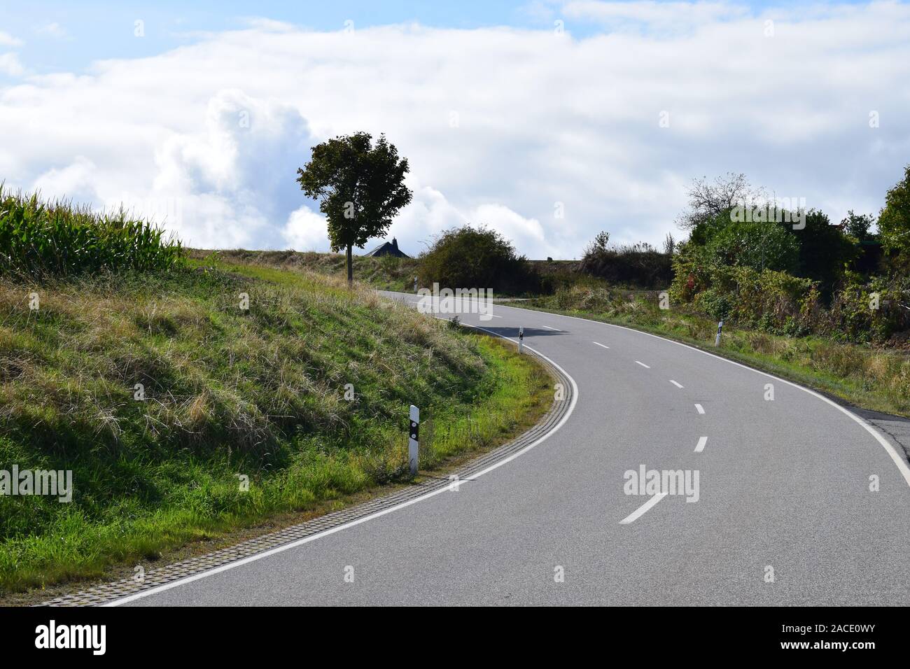 Single Tree Wide Curve High Resolution Stock Photography and Images - Alamy