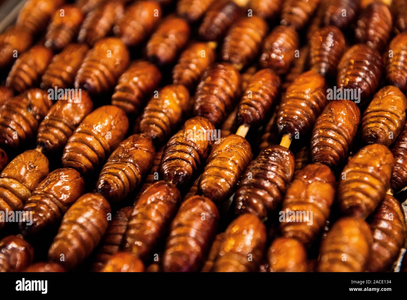 Grill and fried silkworm pupae in a food market in Beijing, China Stock Photo - Alamy