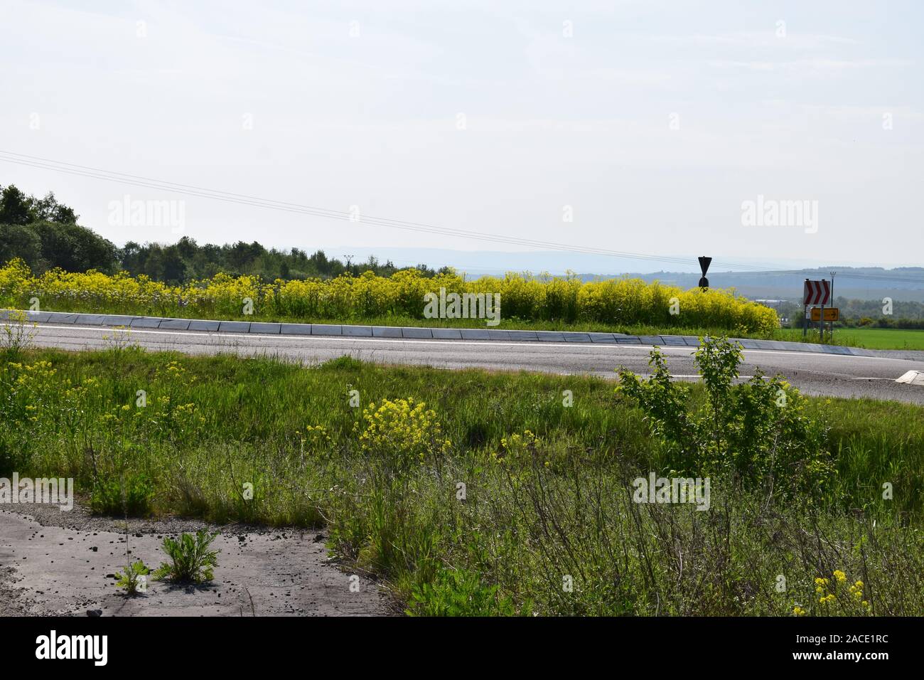 yellow flowers on rural roundabout Stock Photo - Alamy