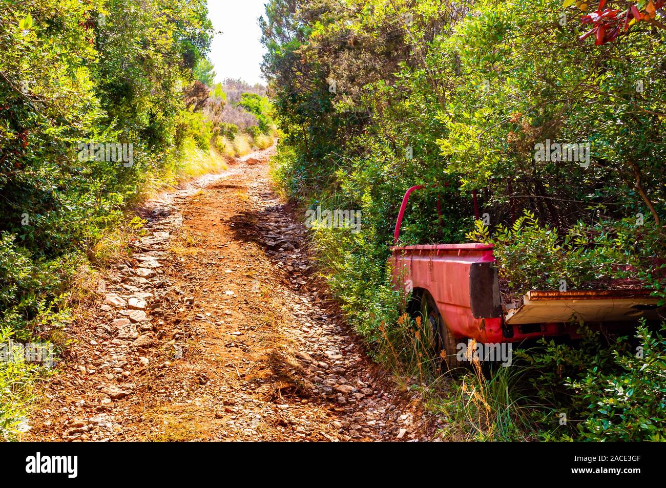 Dirt road through the bushes with old abandoned inside the bush red ...