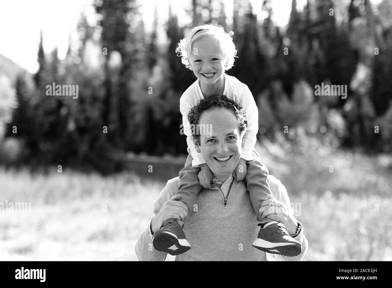 Son sitting on father's shoulders in nature Stock Photo - Alamy