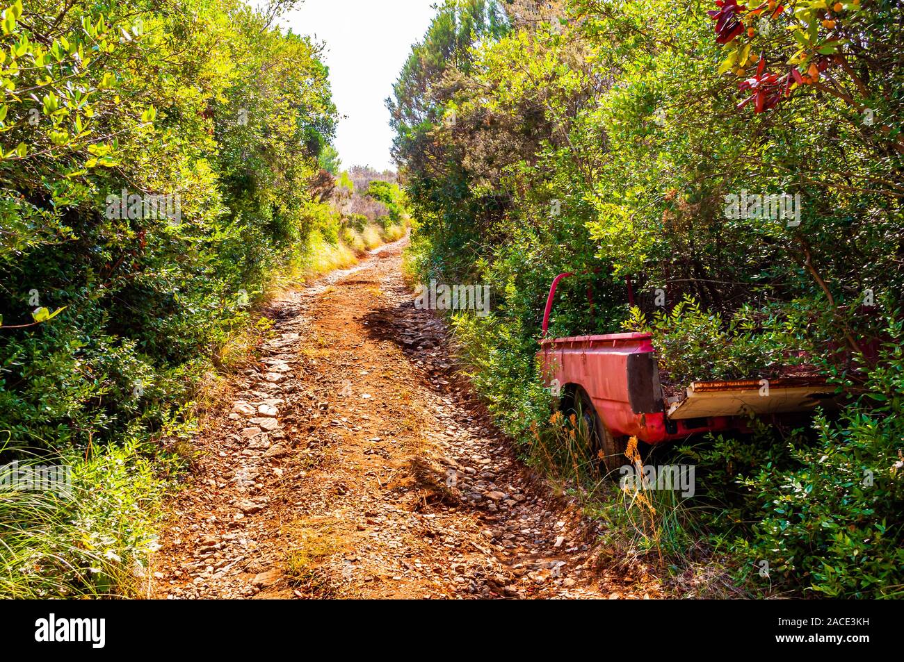 Dirt road through the bushes with old abandoned inside the bush red ...