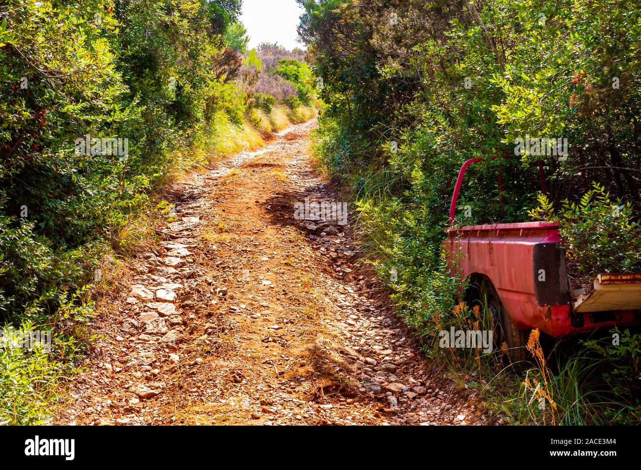Dirt road through the bushes with old abandoned inside the bush red ...