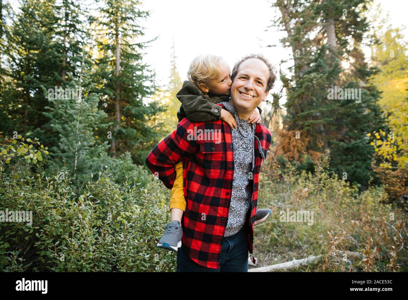 Father and son piggyback in forest Stock Photo - Alamy