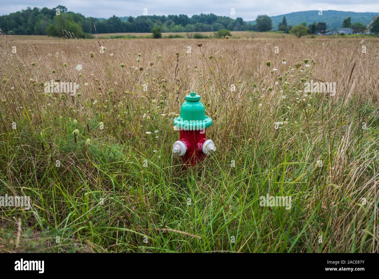 FIRE HYDRANT IN FIELD, DALTON, WESTERN MA, USA Stock Photo - Alamy