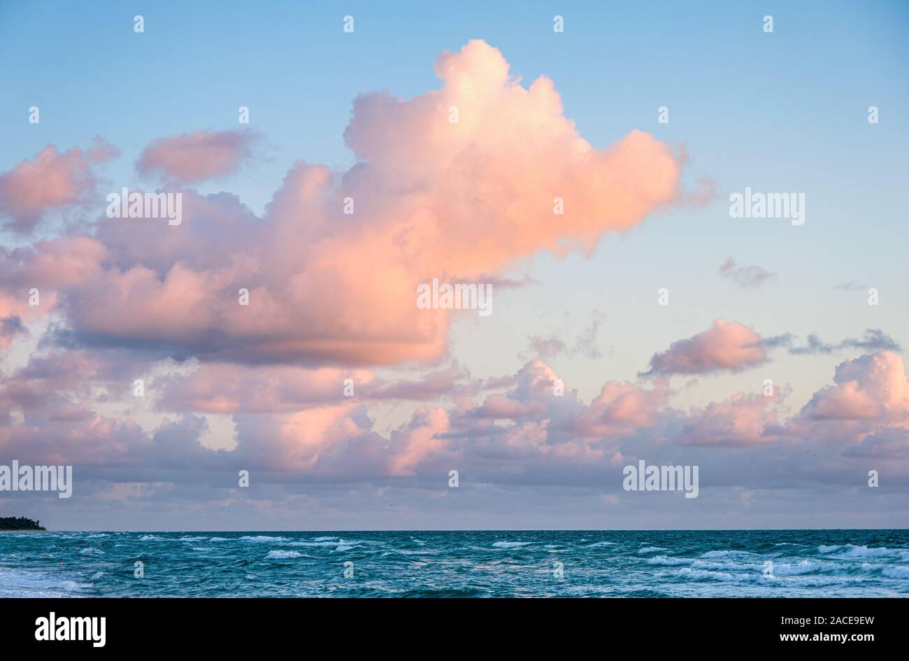 Sea pink color hi-res stock photography and images - Alamy