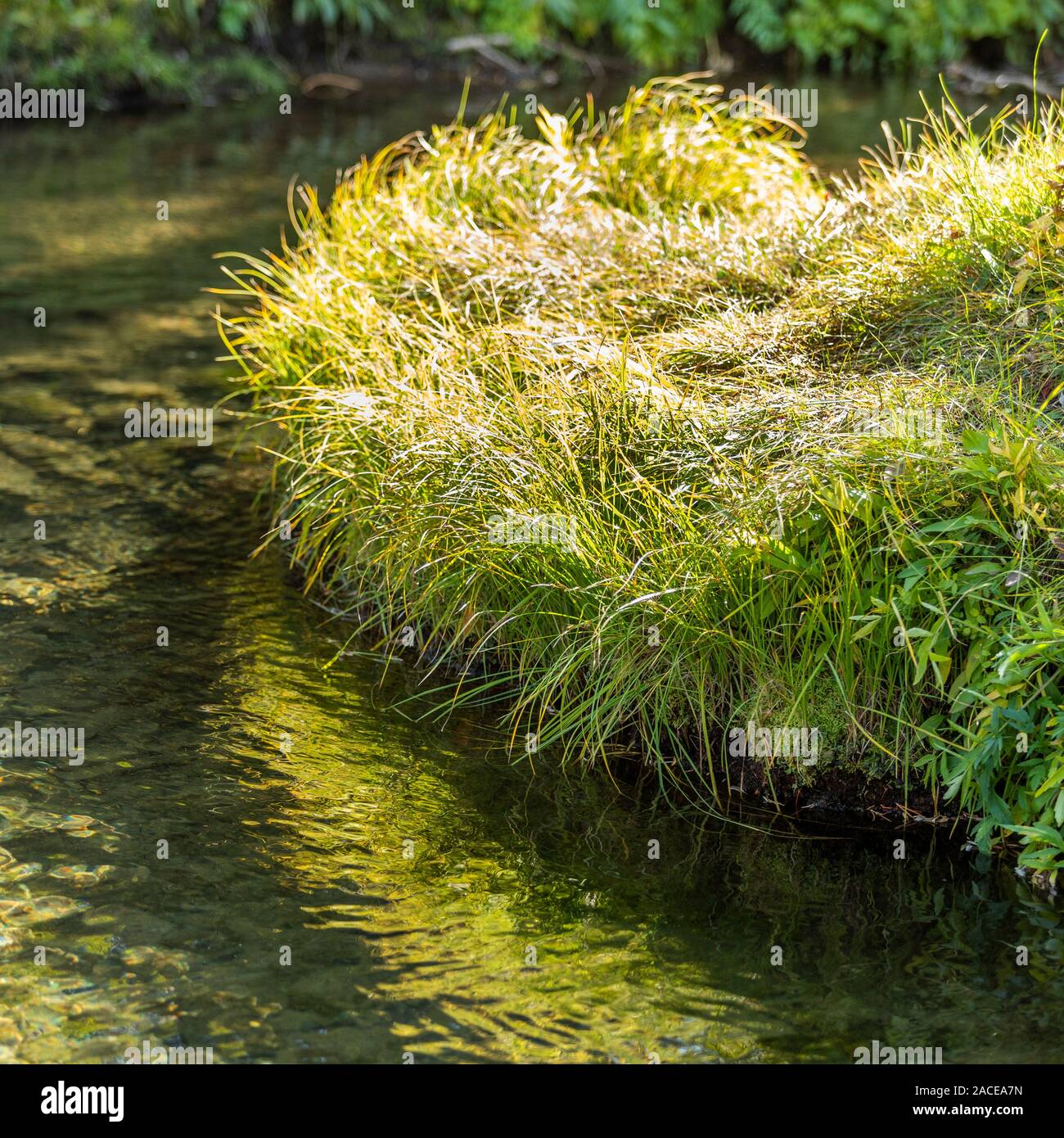 Stream no people hi-res stock photography and images - Alamy