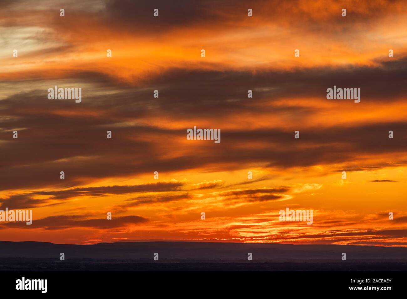 Back lit sunset hi-res stock photography and images - Alamy