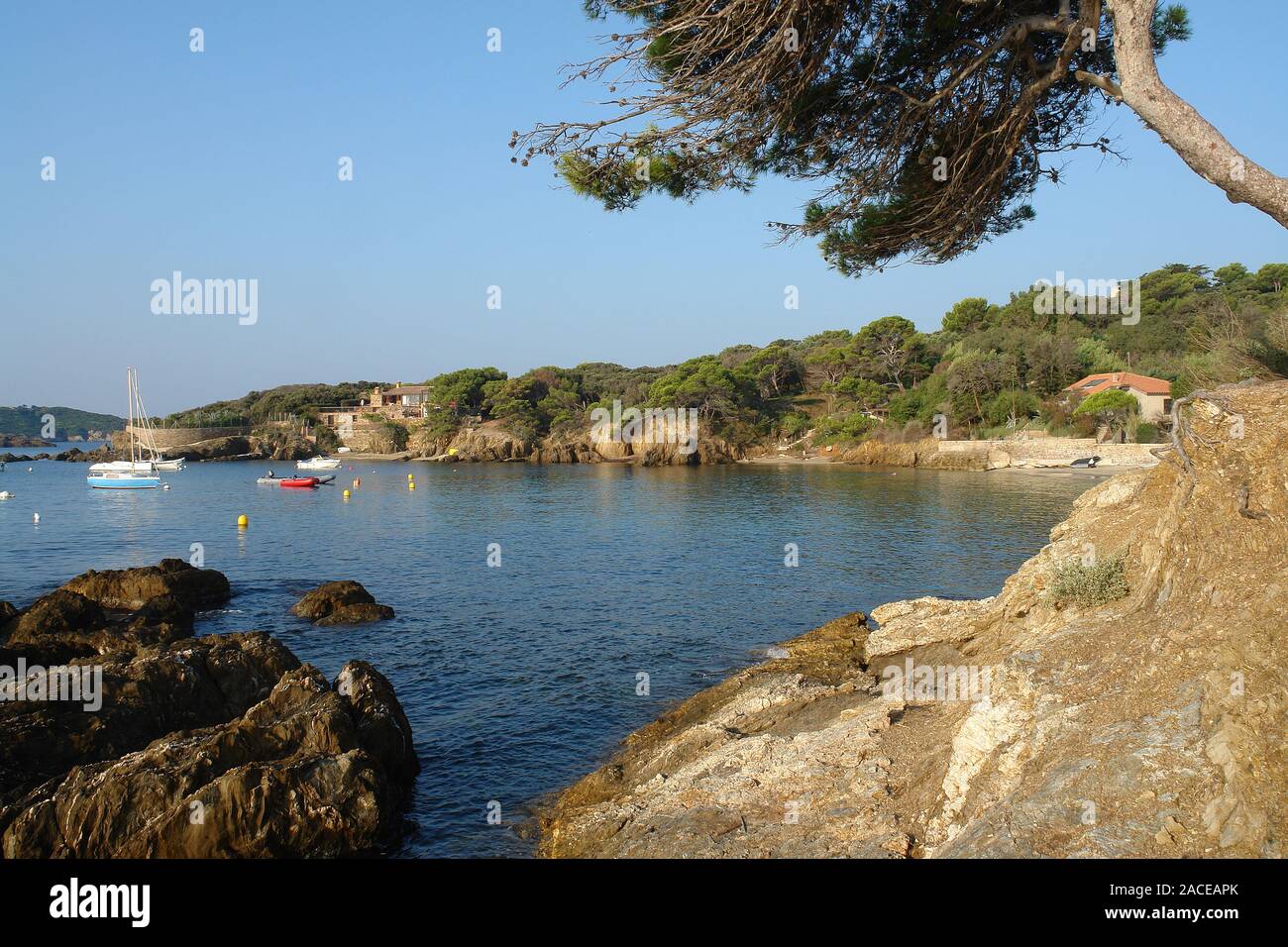 The Pradeau's cove Peninsula of Giens Hyeres Provence Var France Stock ...