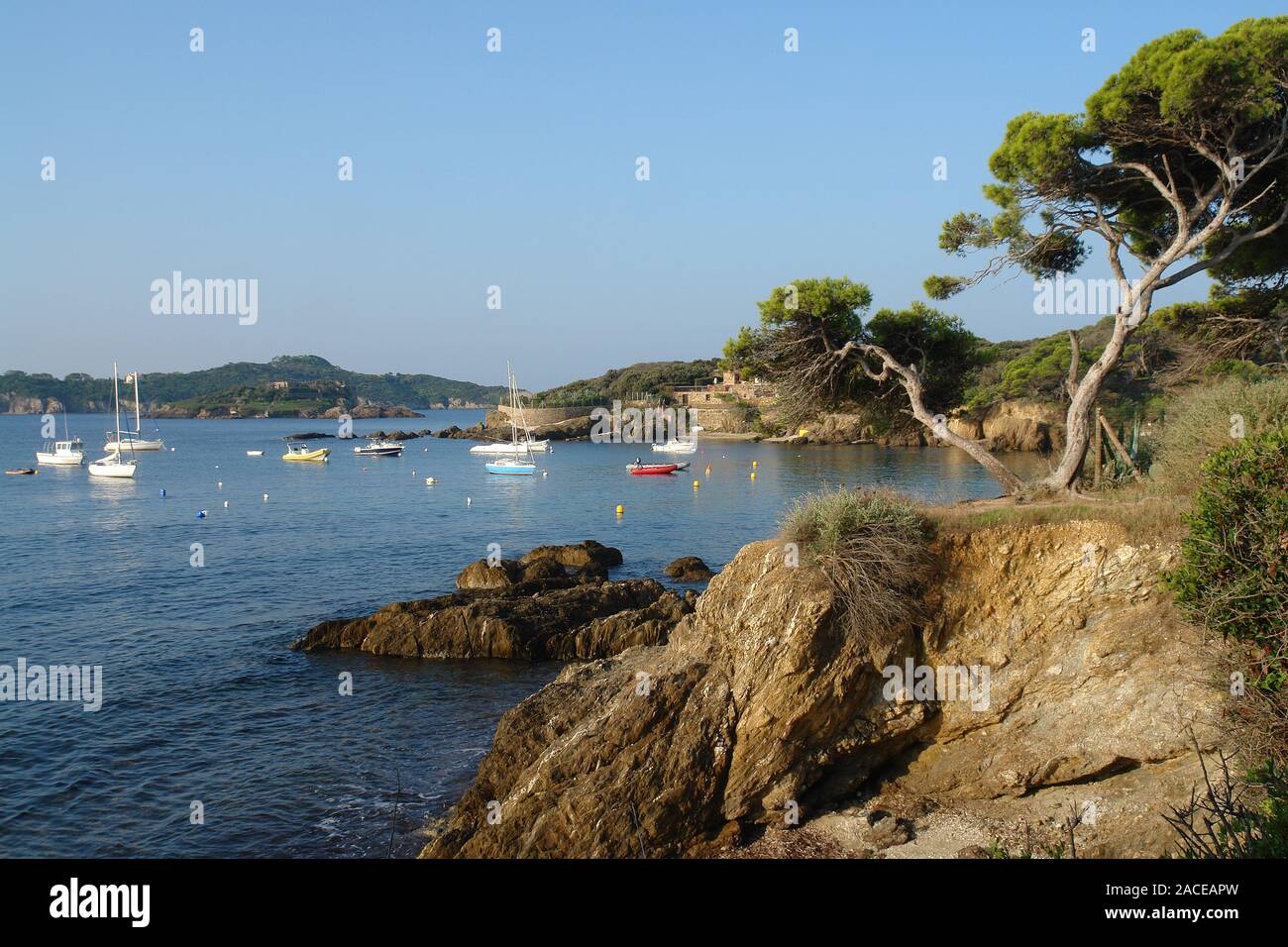 The Pradeau's cove Peninsula of Giens Hyeres Provence Var France Stock ...