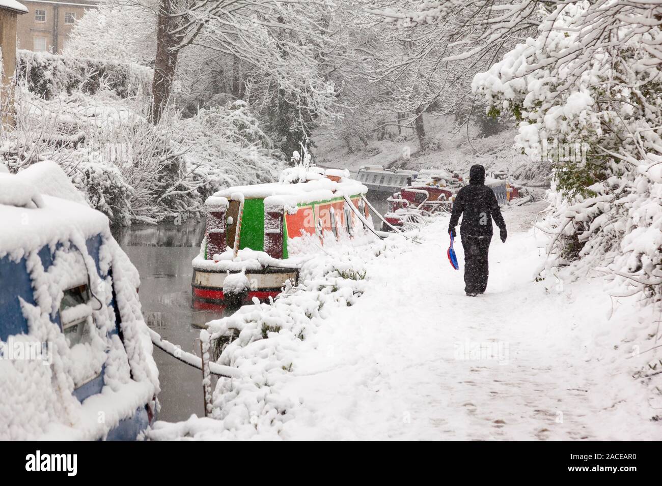Woman walking caring a plastic sledge in heavy snow on the Kennet and ...