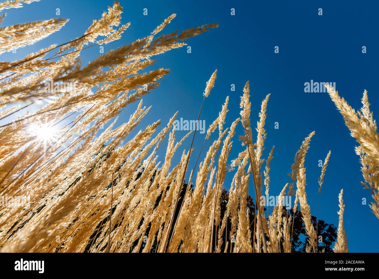 Clear angle hi-res stock photography and images - Alamy