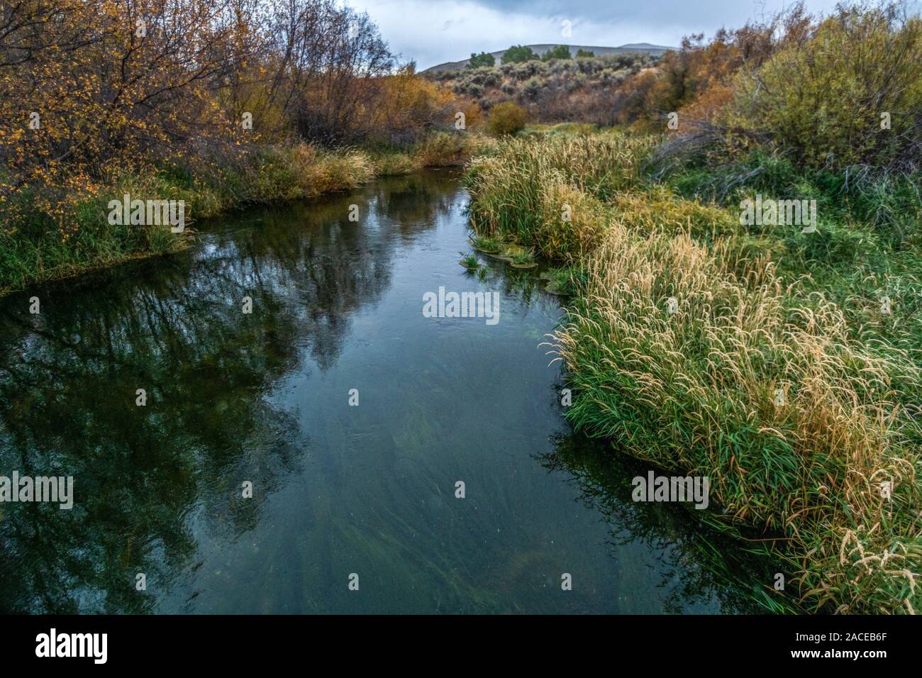 Picabo hi-res stock photography and images - Alamy