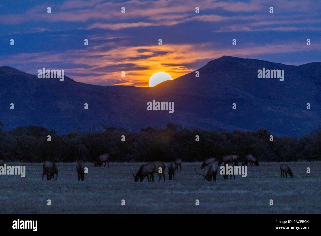 Elk mountain sunset hi-res stock photography and images - Alamy