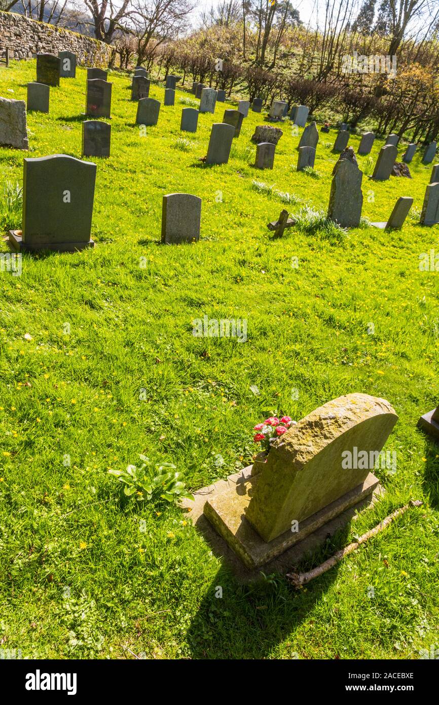 Small graves in grass graveyard, portrait Stock Photo - Alamy