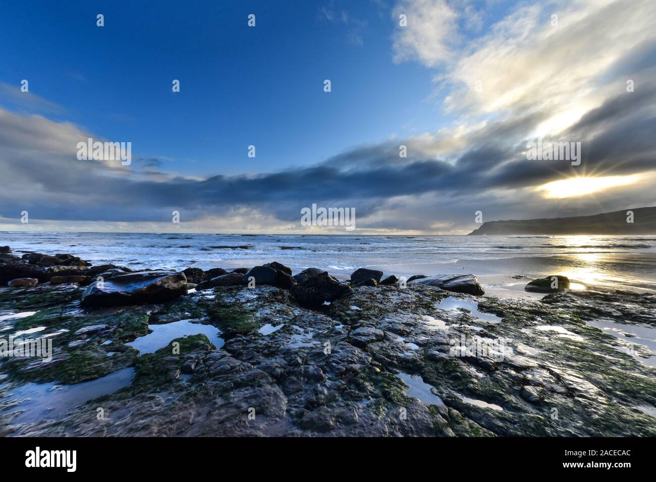 Boggle hole fossils hi-res stock photography and images - Alamy