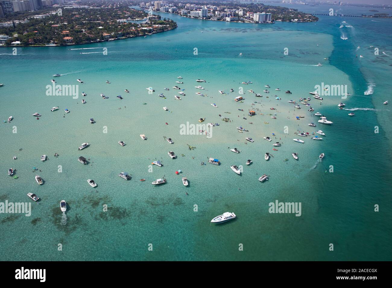 Aerial view of boats in sea in Miami, Florida, USA Stock Photo - Alamy