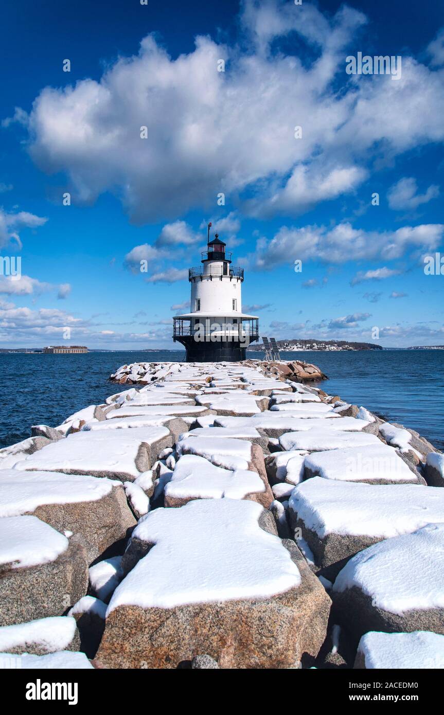 Blue point spring hi-res stock photography and images - Alamy