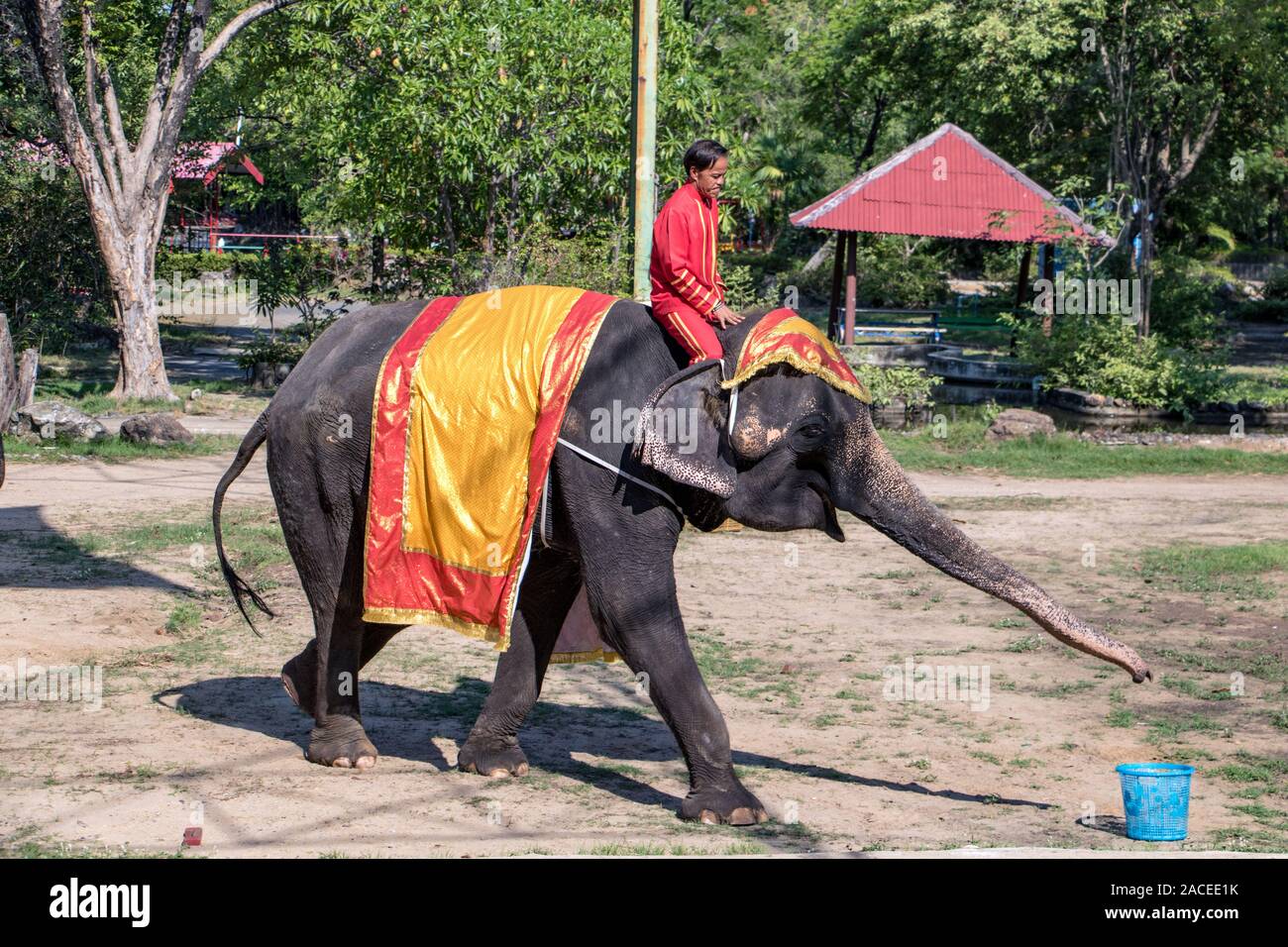 SAMUT PRAKAN, THAILAND, MAY 18 2019, Performance of a trained elephant ...
