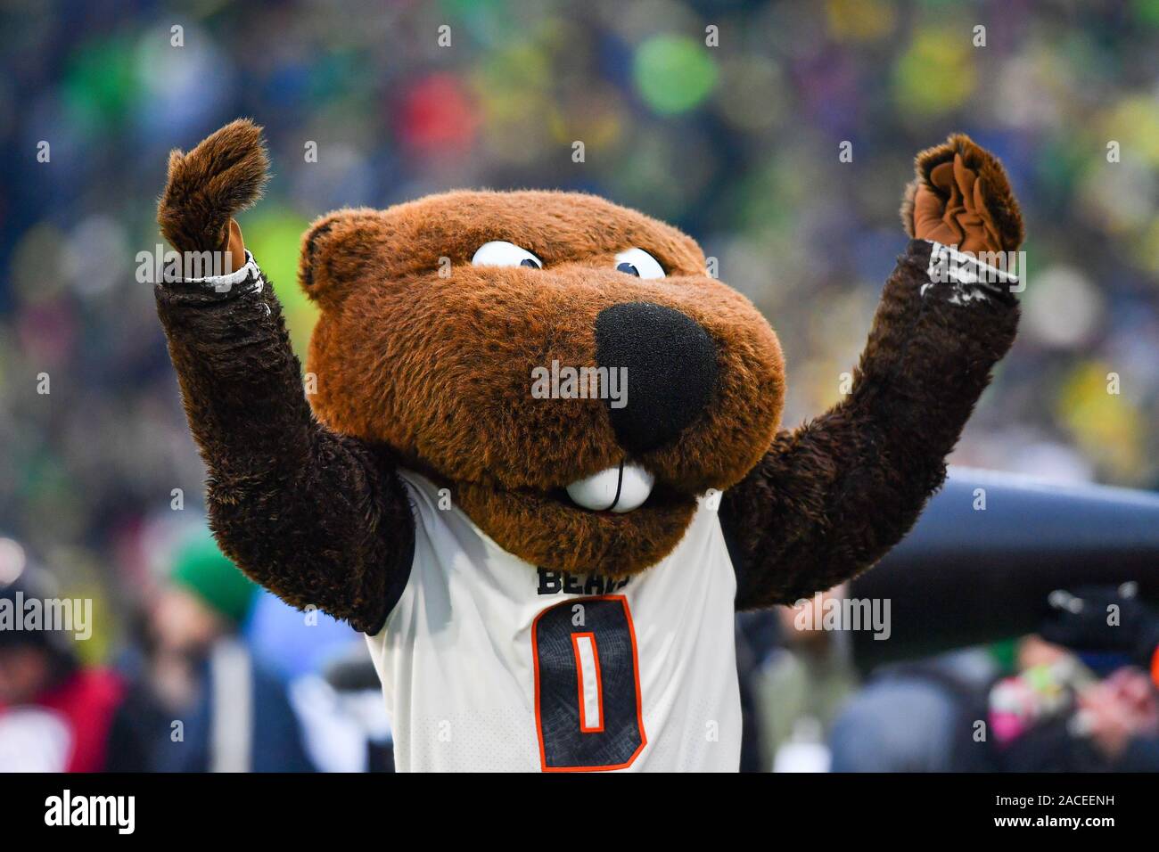 Oregon State Beavers mascot, Benny Beaver, hypes the crowd during an ...
