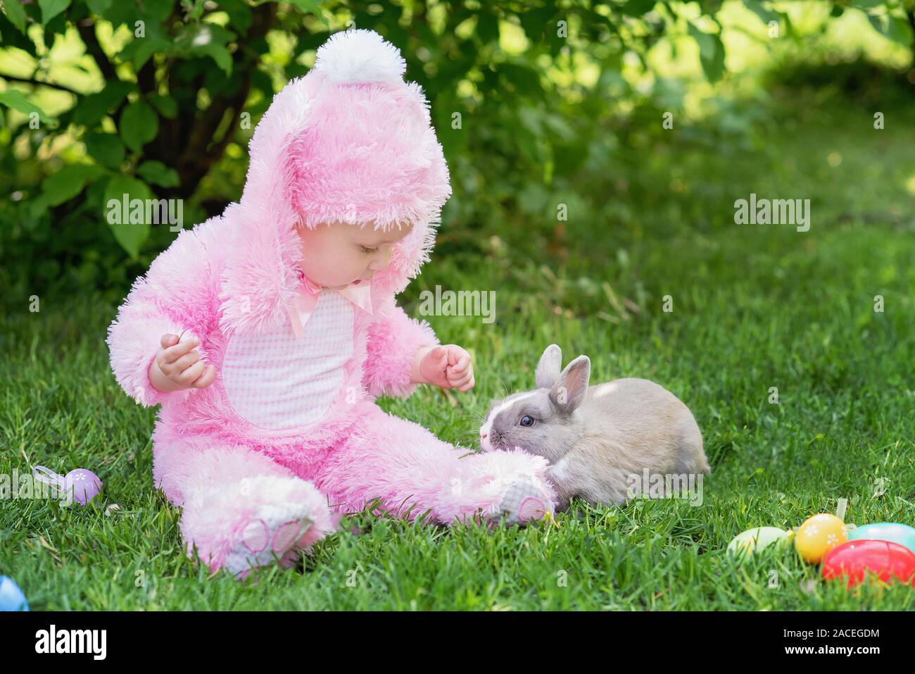 Real bunny hi-res stock photography and images - Alamy