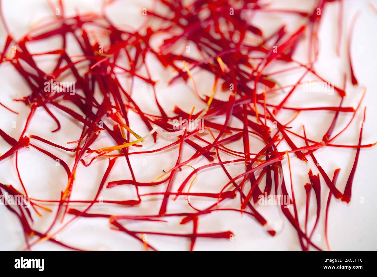 Saffron cultivation hi-res stock photography and images - Alamy