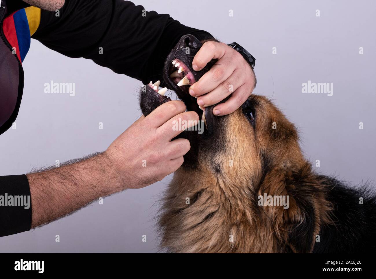Man opening with teeth hi-res stock photography and images - Alamy